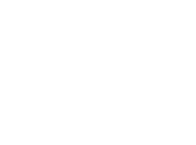 DS Global Holdings Inc. - About Us